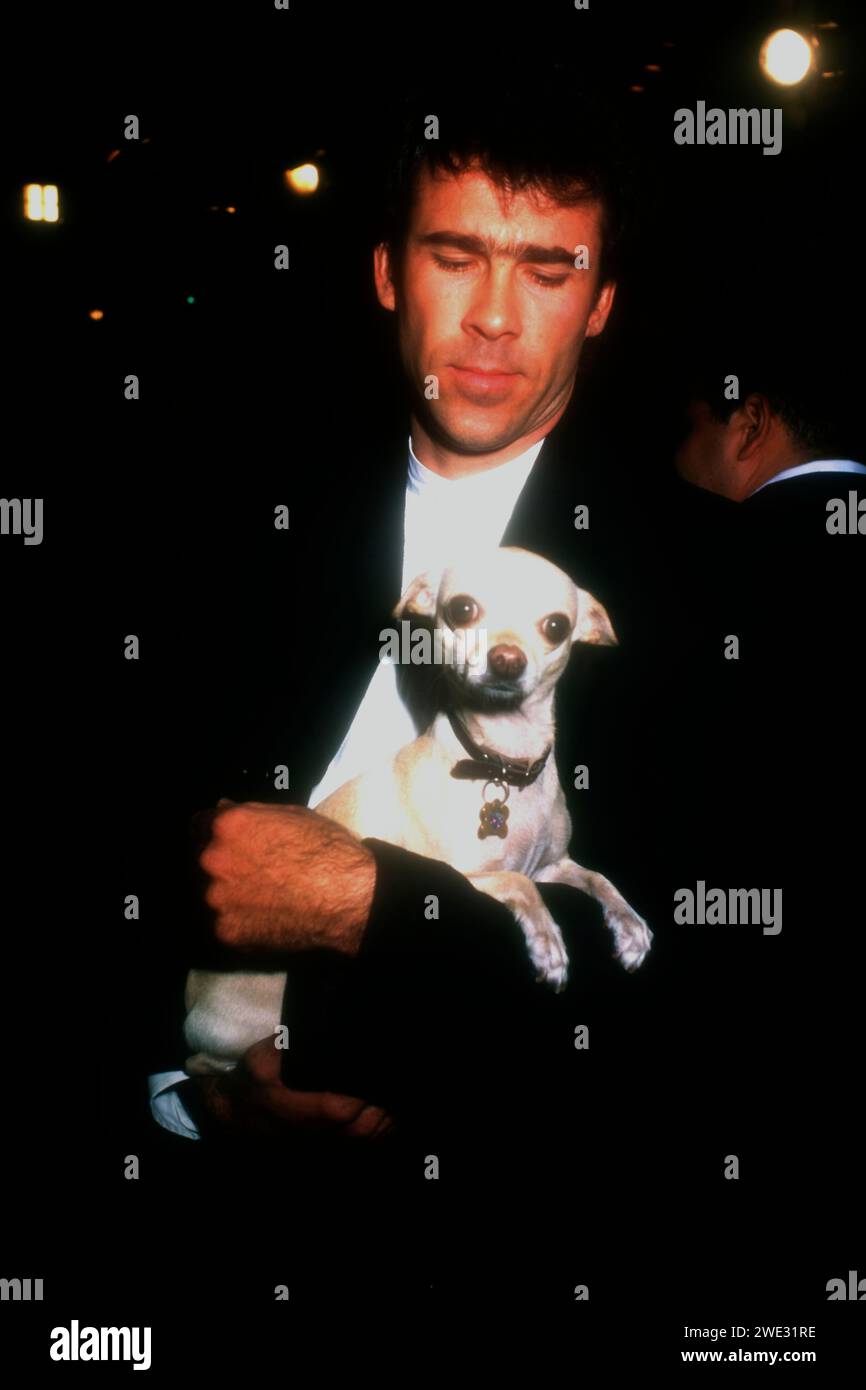 Los Angeles, California, USA 12th December 1996 Tim BurtonÕs Chihuahua ...