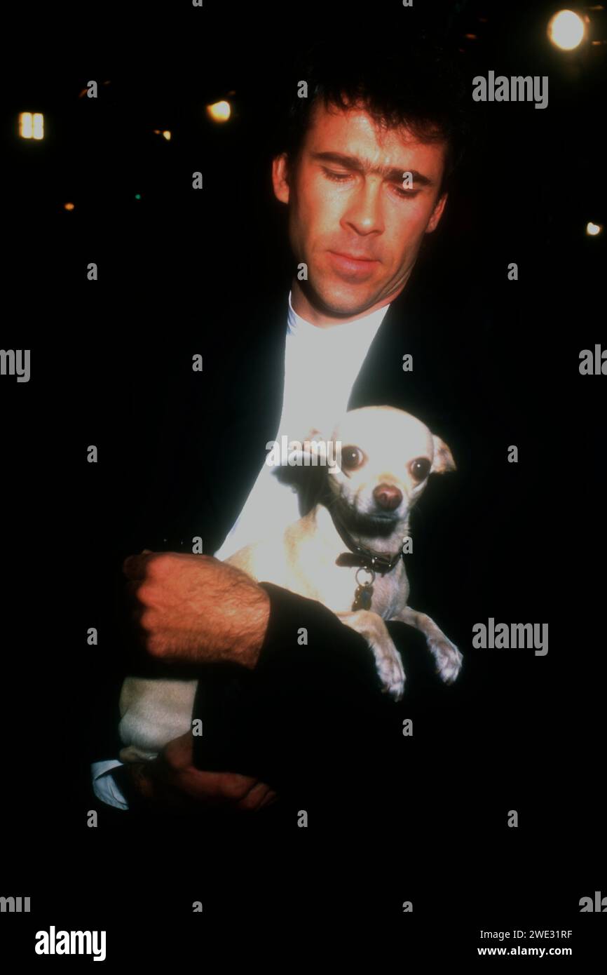 Los Angeles, California, USA 12th December 1996 Tim BurtonÕs Chihuahua ...