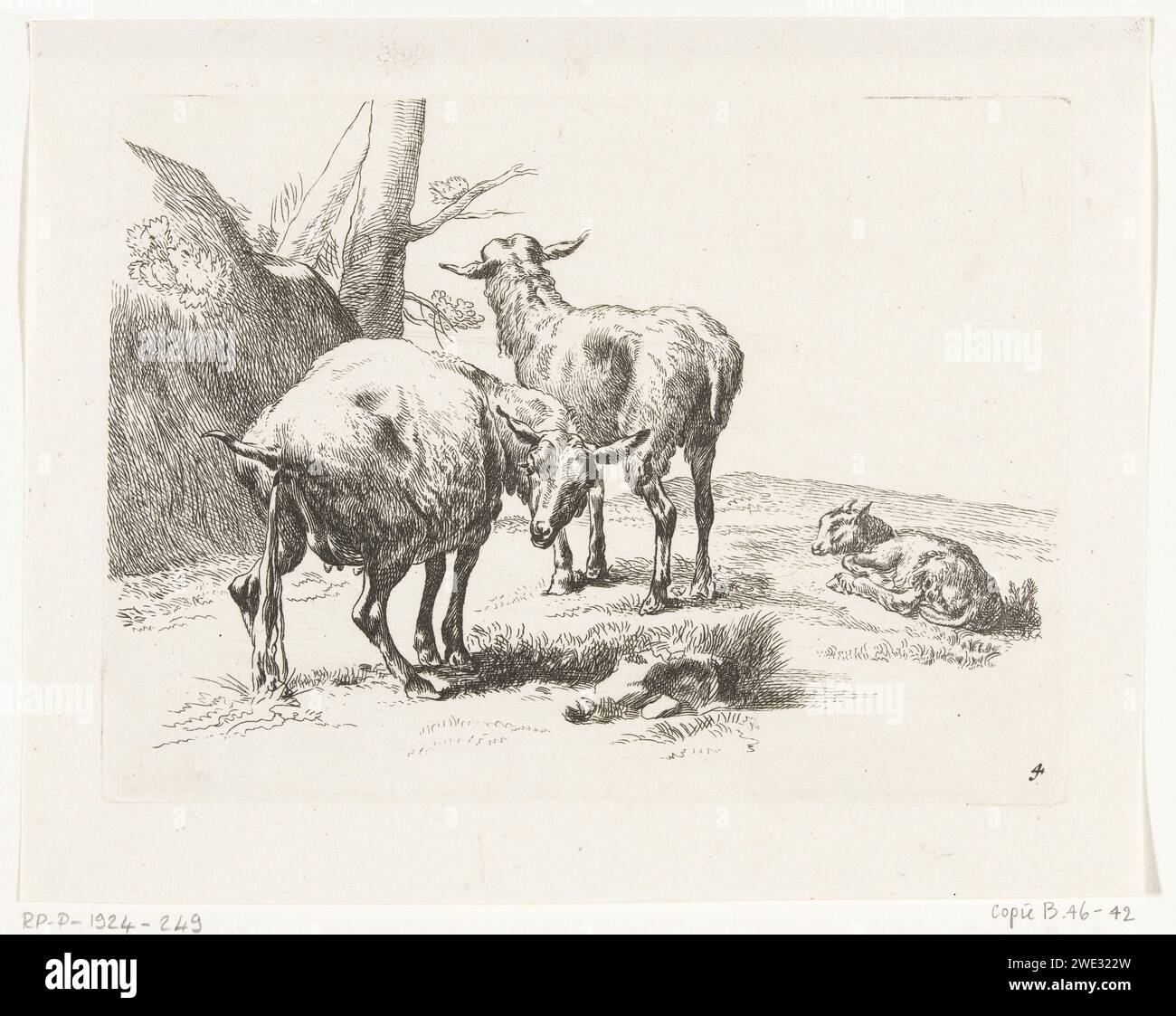 Two standing goats and a young goat, Anonymous, After Nicolaes Pietersz ...