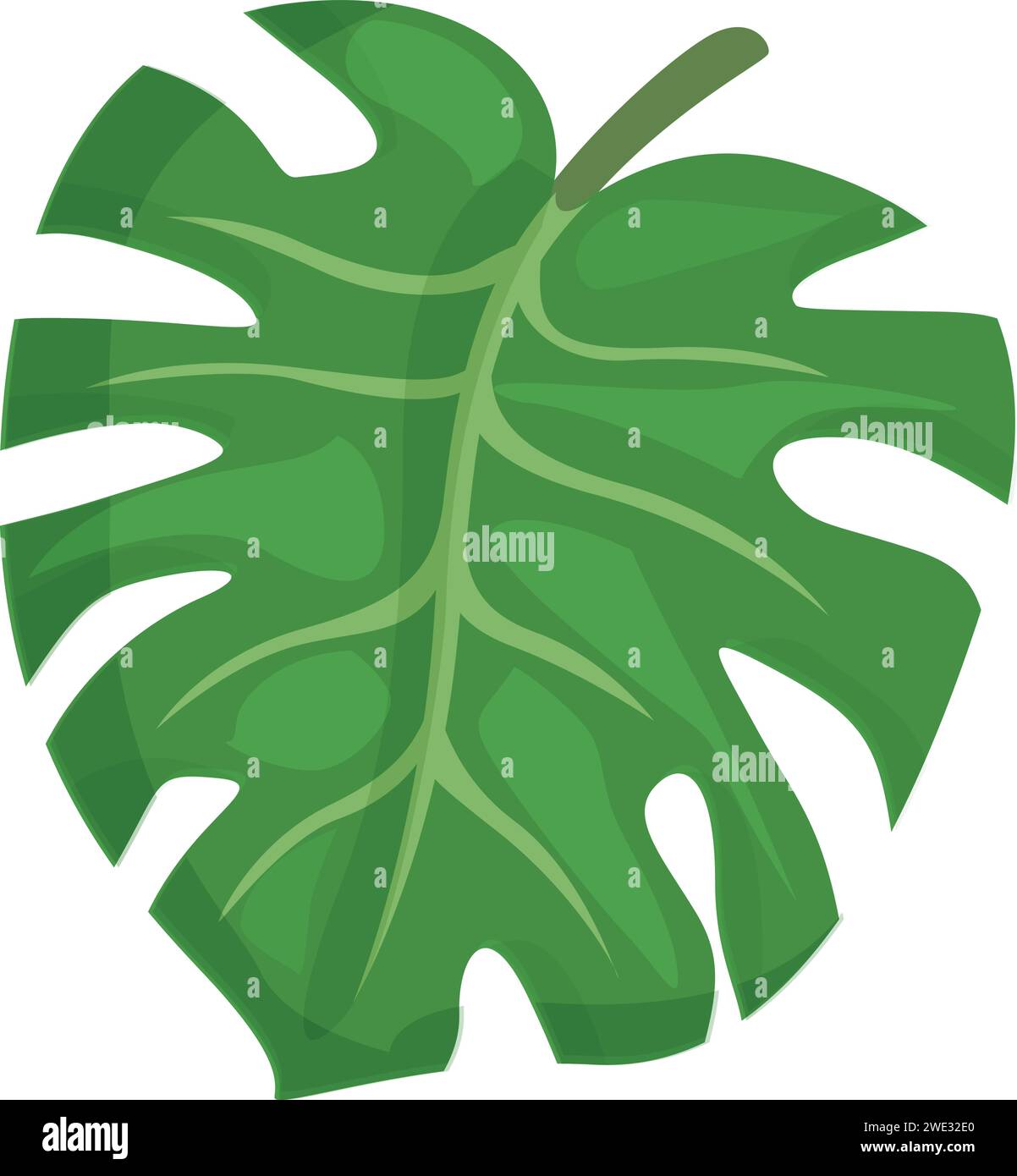 Tropical monstera icon cartoon vector. Plant green leaf. Frond flora ...