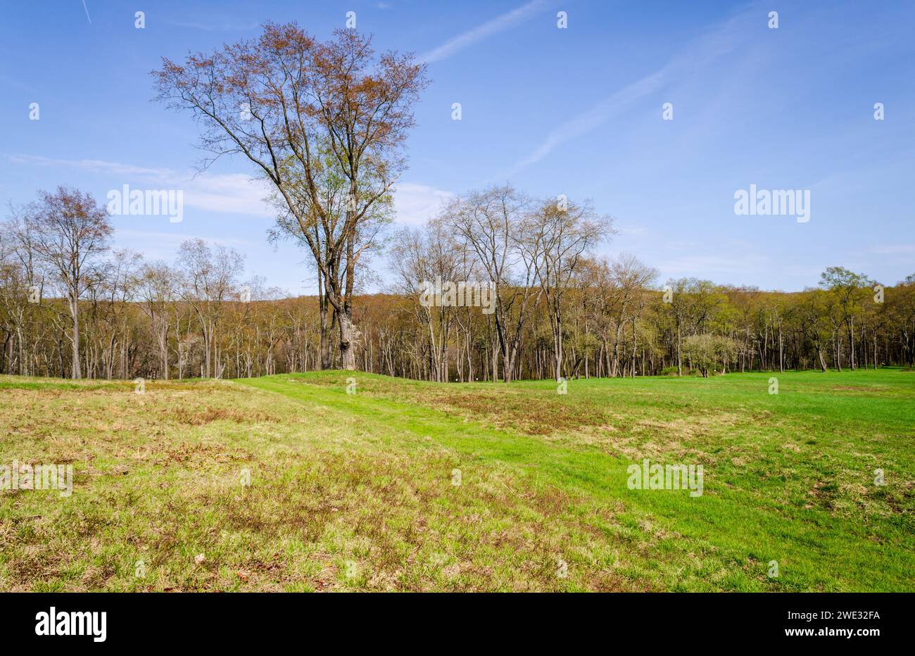 The Town of Pithole, a ghost town in Cornplanter Township, Venango ...