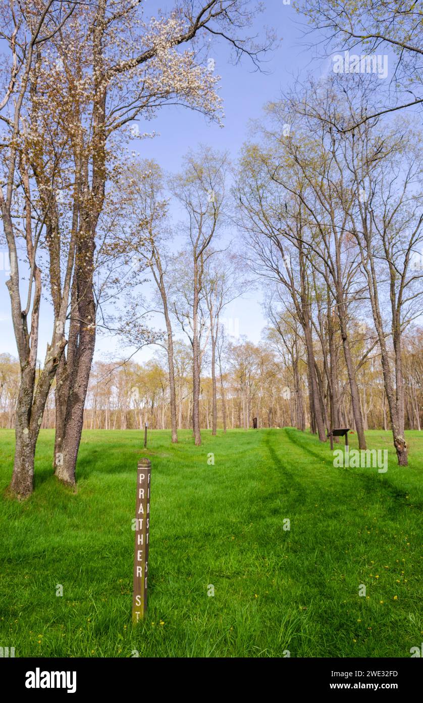The Town of Pithole, a ghost town in Cornplanter Township, Venango ...