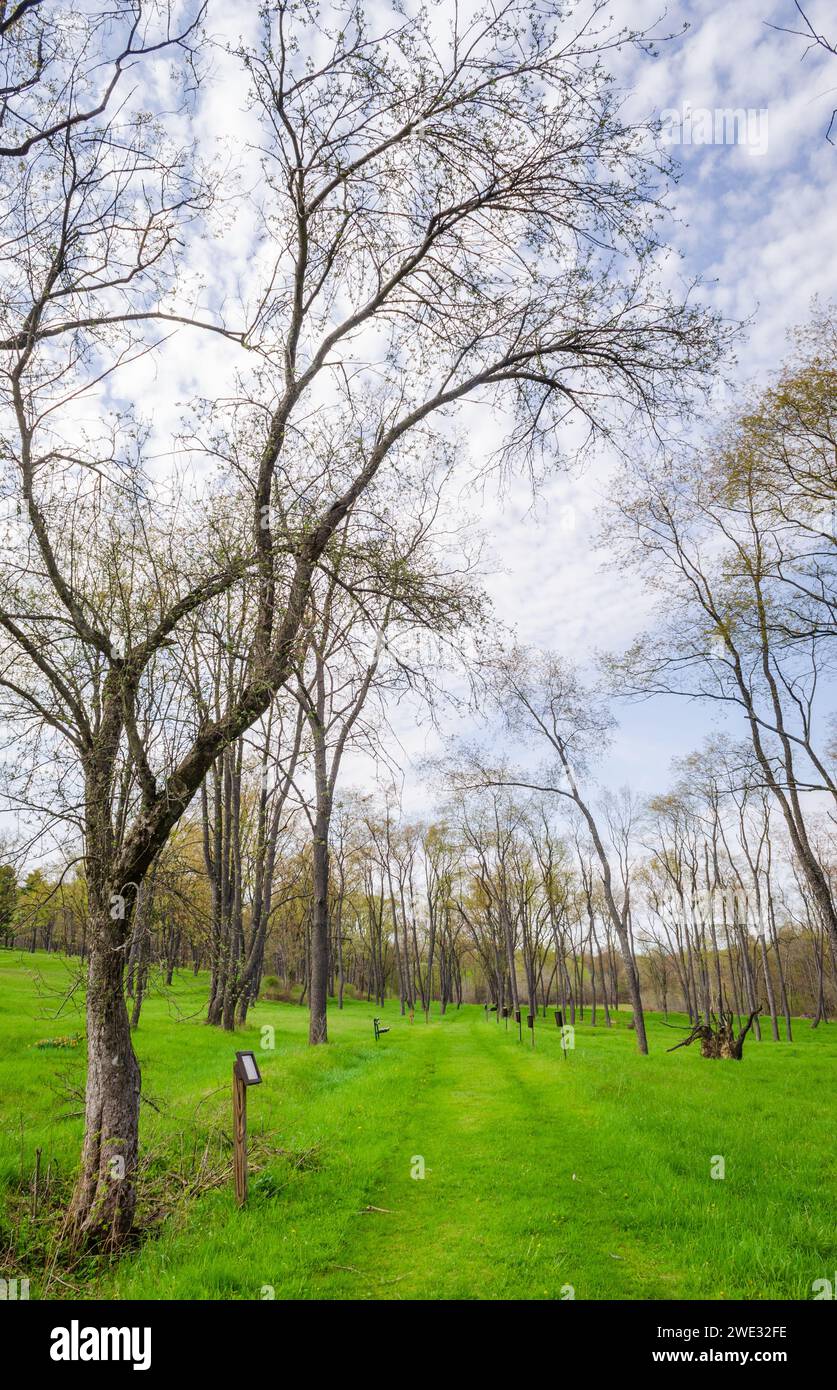 The Town of Pithole, a ghost town in Cornplanter Township, Venango ...