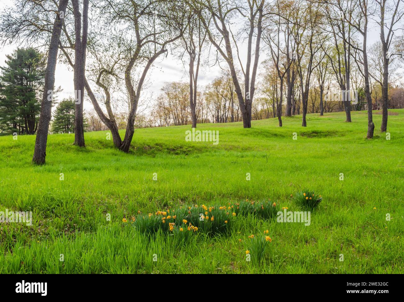 Pithole architecture hi-res stock photography and images - Alamy