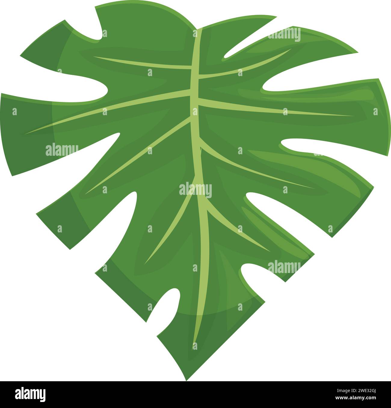 Blossom jungle plant icon cartoon vector. Monstera leaf. Green ...