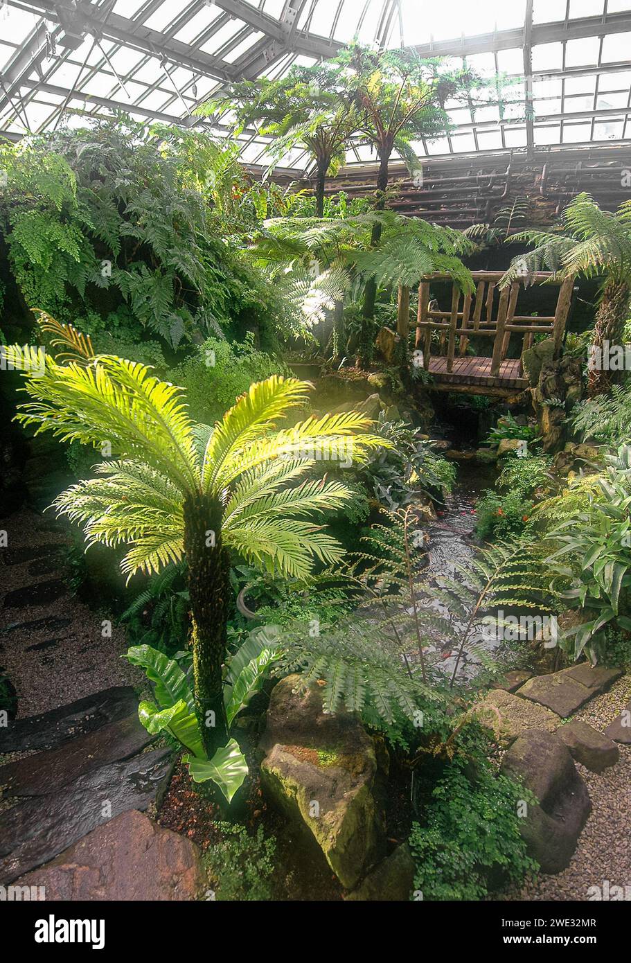 Morris arboretum history hi-res stock photography and images - Alamy