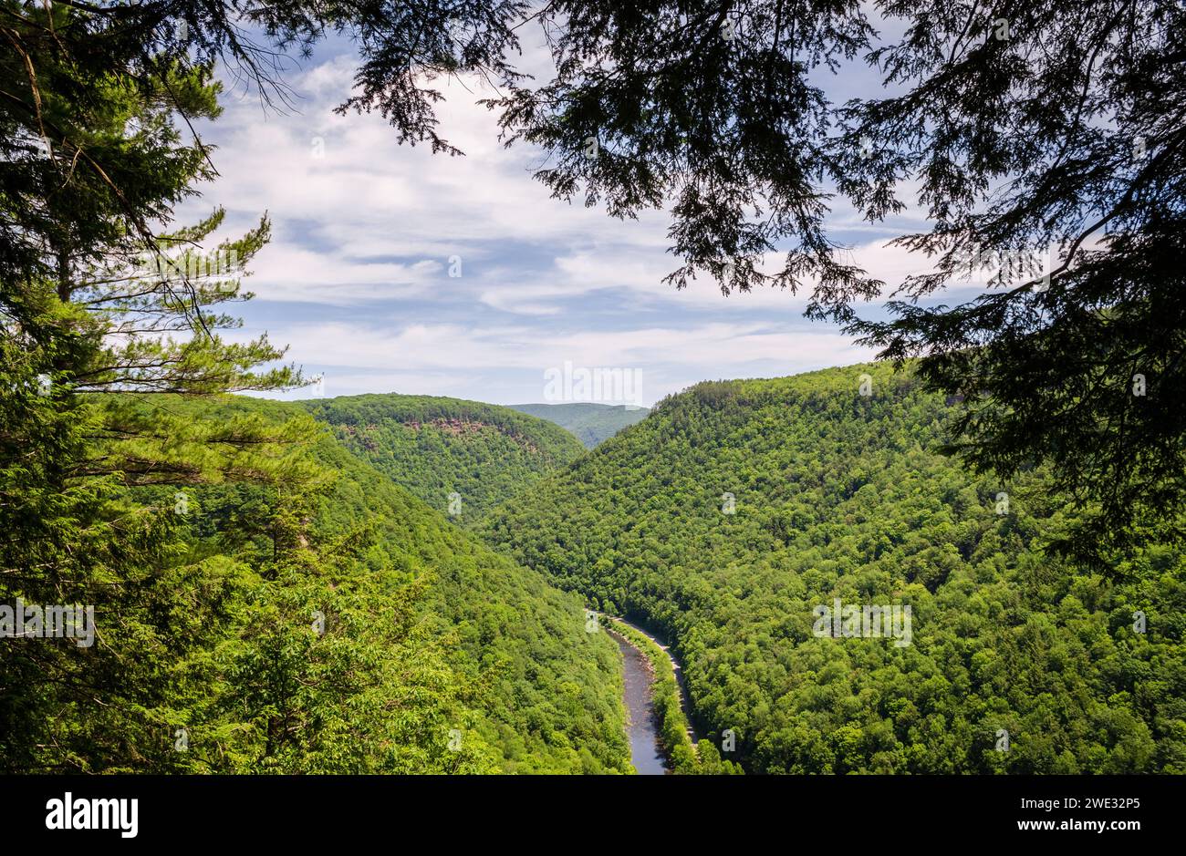The Pine Creek Gorge, or the The Grand Canyon of Pennsylvania, USA ...