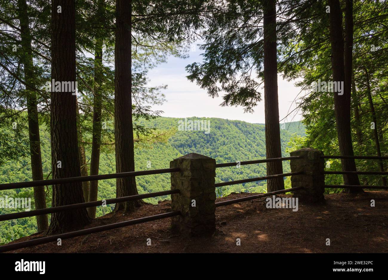 The Pine Creek Gorge, or the The Grand Canyon of Pennsylvania, USA ...