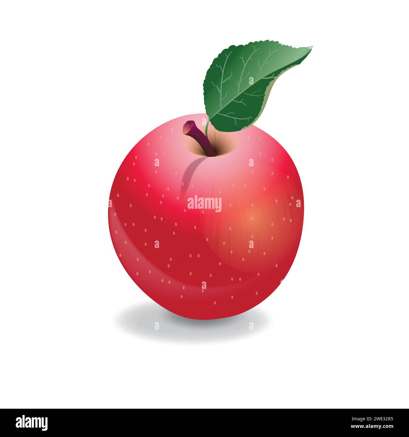 Realistic apple vector illustration Stock Vector Image & Art - Alamy