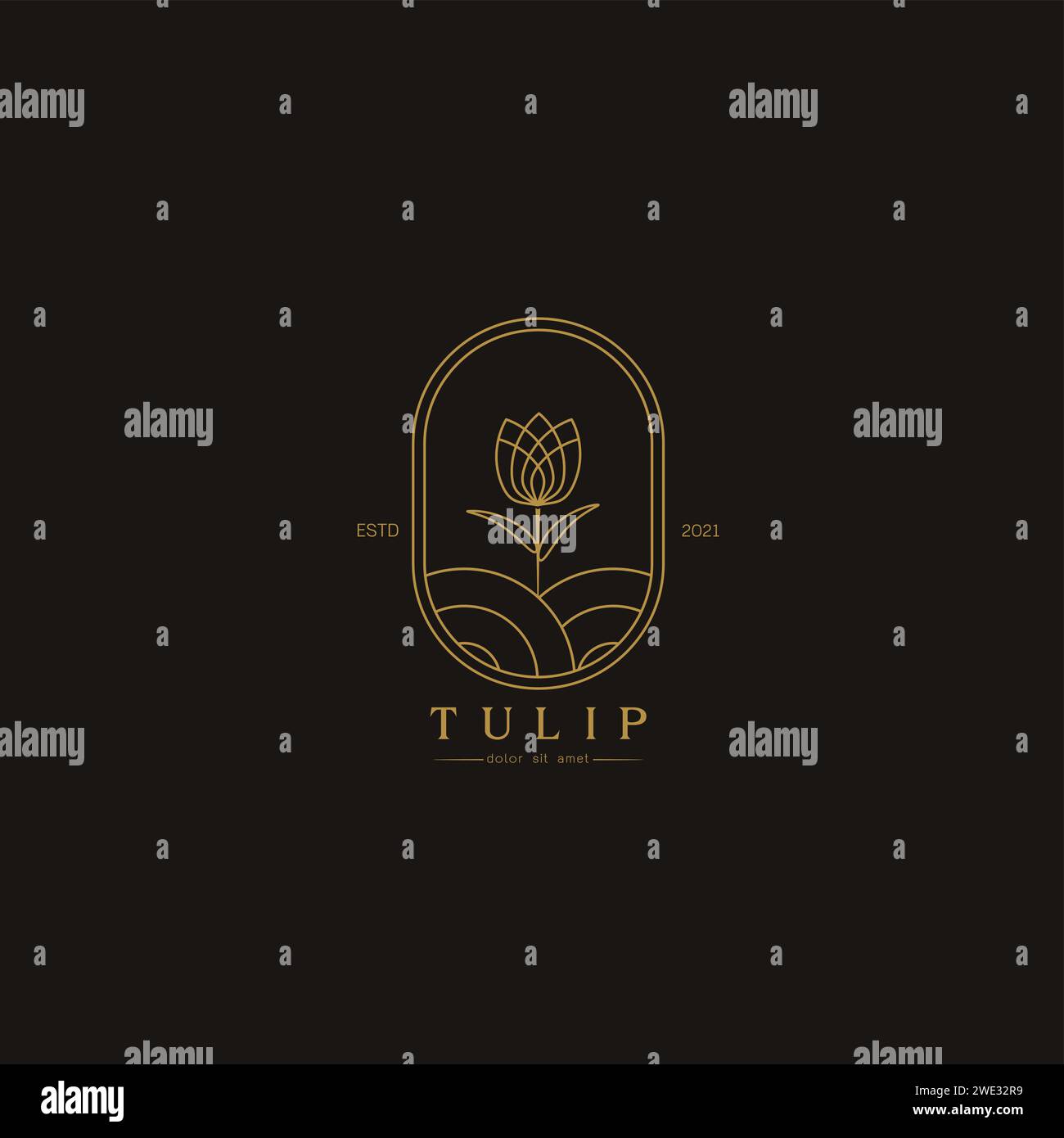 Tulip line art hi-res stock photography and images - Alamy