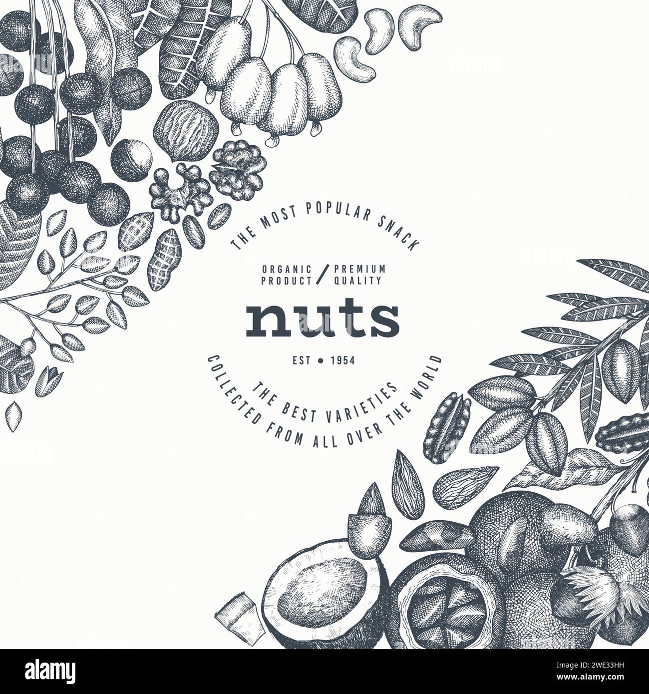 Hand Drawn Nuts Branch And Kernels Template. Organic Seed Vector Design ...