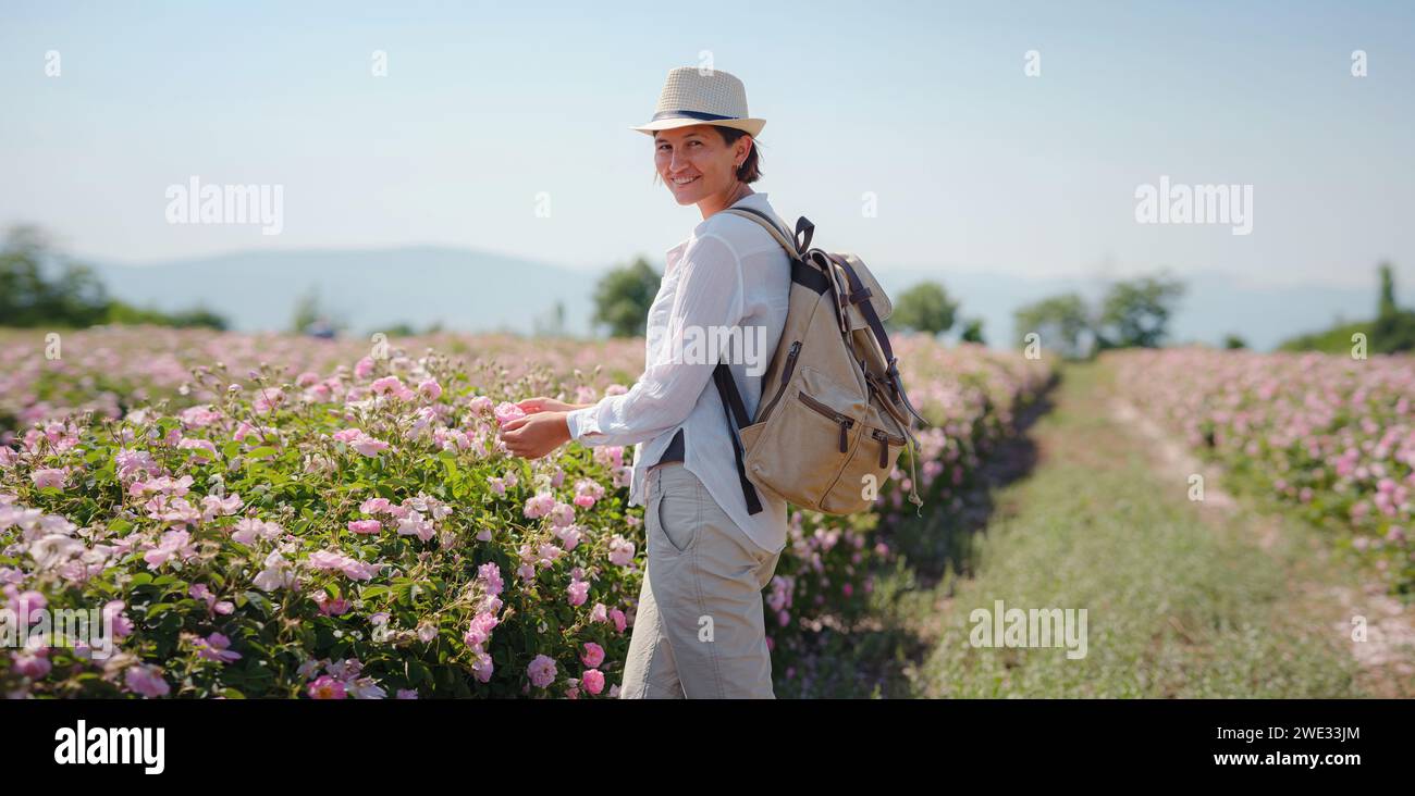 woman enjoying the aroma in Field of Damascena roses in sunny summer ...