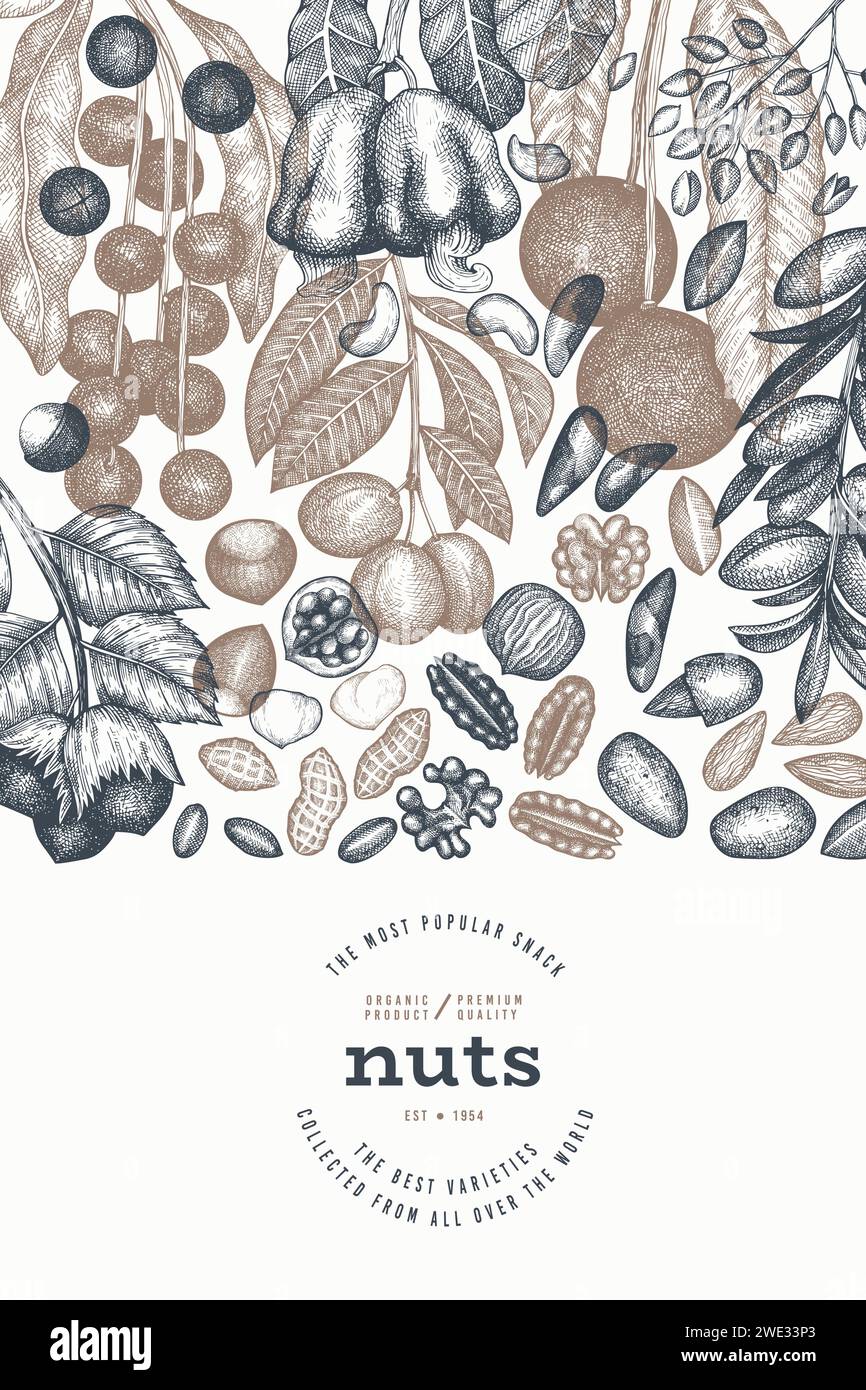 Hand Drawn Nuts Branch And Kernels Template. Organic Seed Vector Design ...