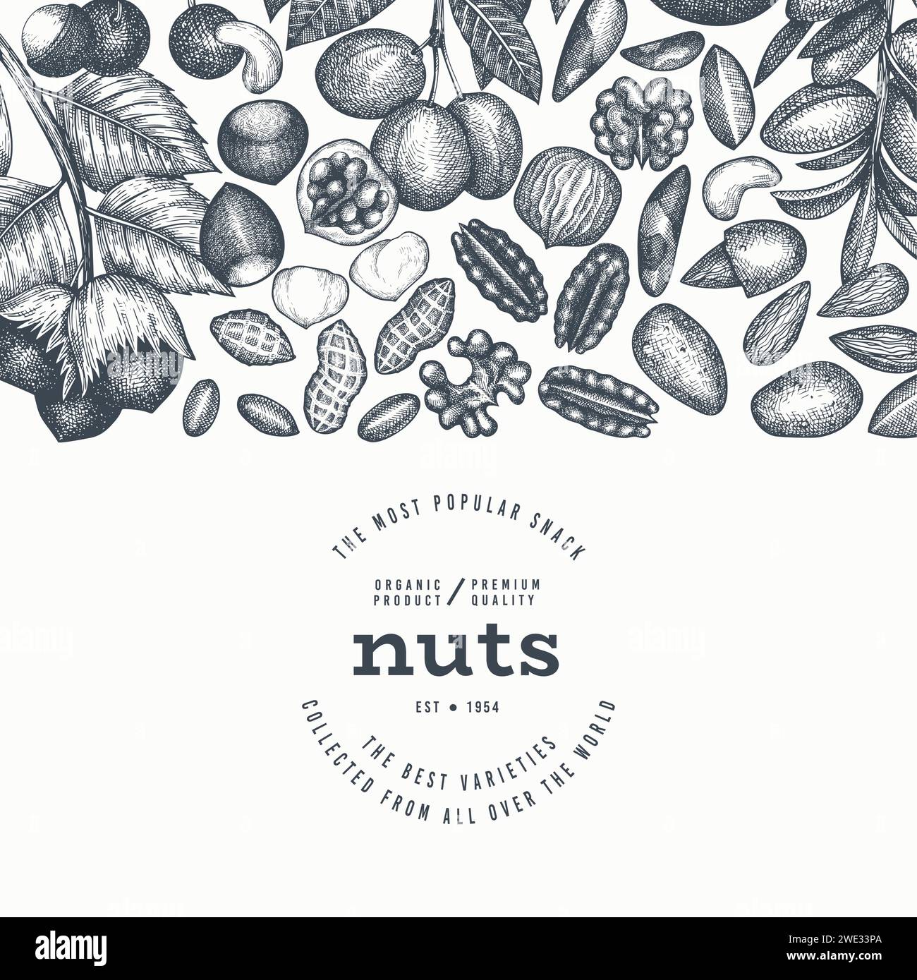 Hand Drawn Nuts Branch And Kernels Template. Organic Seed Vector Design ...