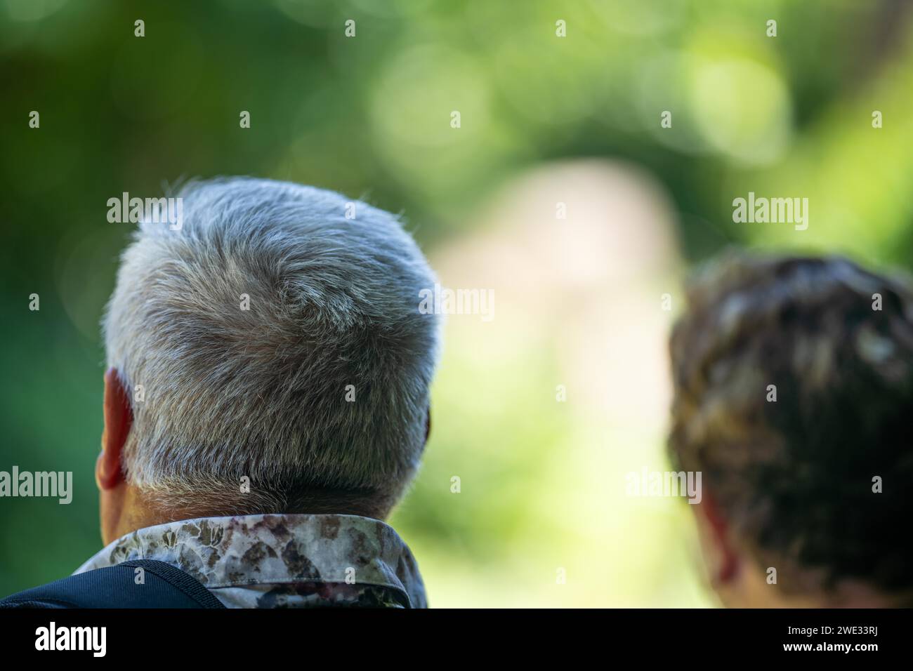 fan watch sport in australia in summer Stock Photo - Alamy