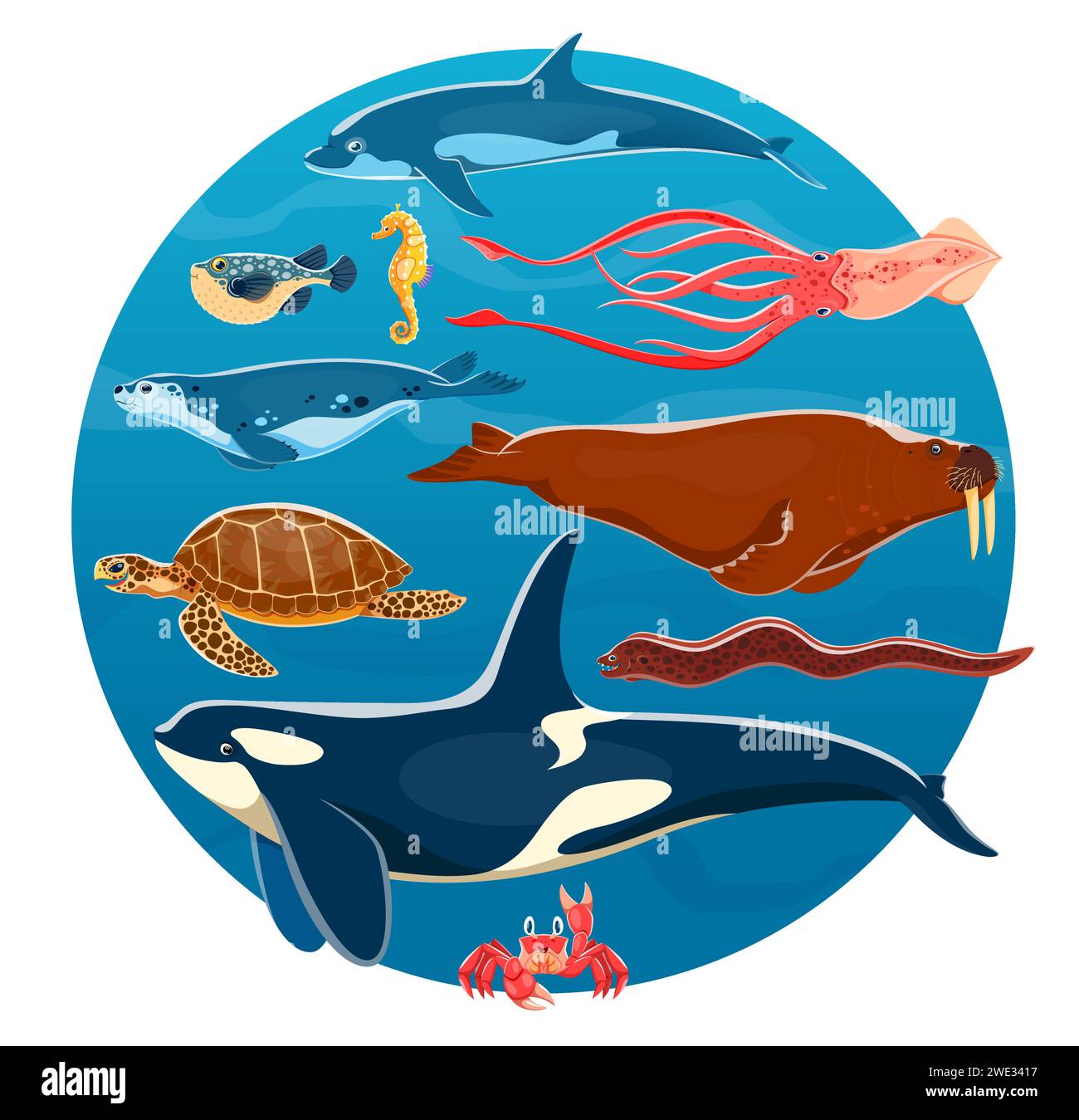 Cartoon sea animals, vector ocean fish and underwater life animals ...