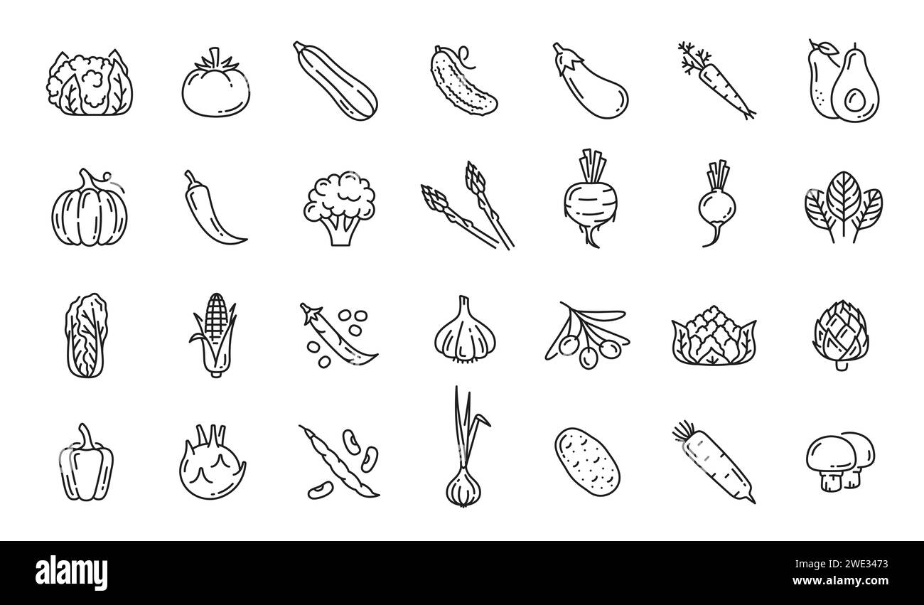 Raw vegetable line icons. Cauliflower, tomato, cucumber, eggplant and ...