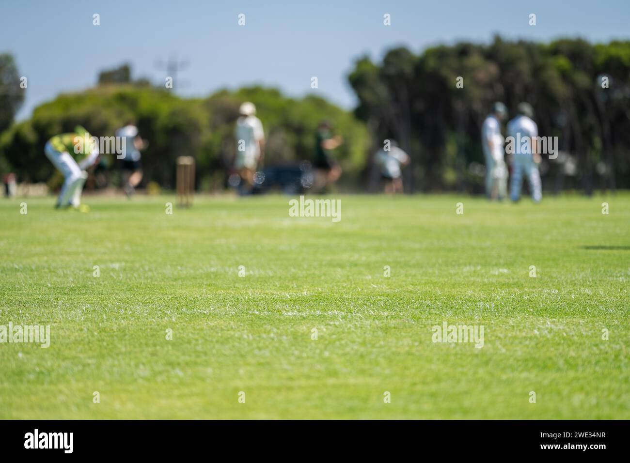 amateur game of local cricket match, cricket bat and bowl Stock Photo ...