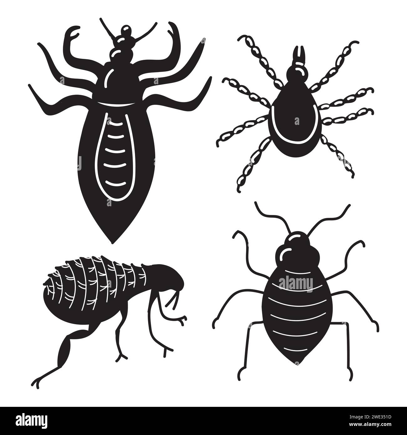 Insect parasites, head louse, pubic louse, flea, bed bug. Set of simple ...