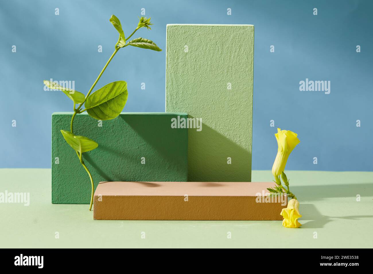 Minimal empty display product presentation scene with rectangular ...