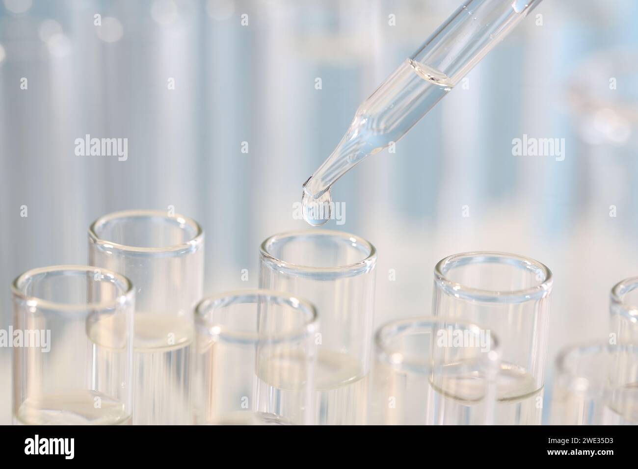 Laboratory analysis. Dripping liquid from pipette into glass test tube ...