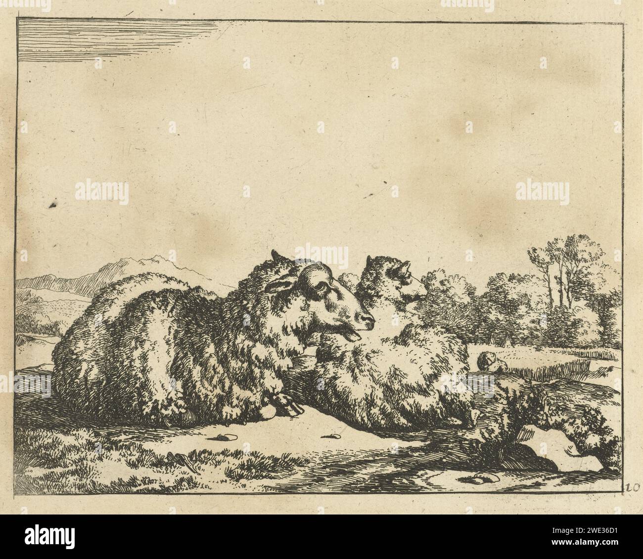 Two lying sheep, seen from behind, Marcus de Bye, 1728 - c. 1761 print ...