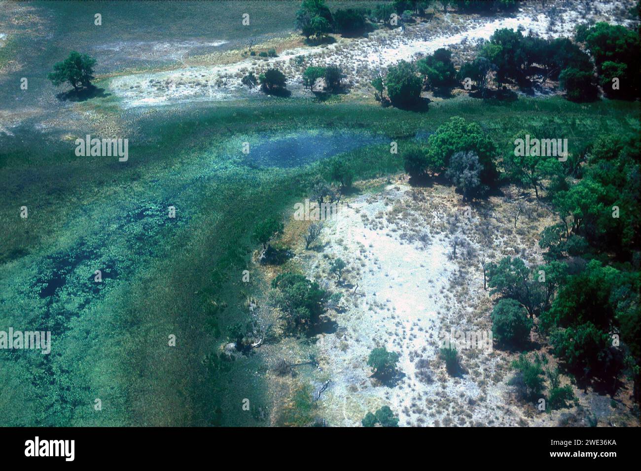 Aerial view from small plane flight across delta, Jedibe Camp to Maun ...