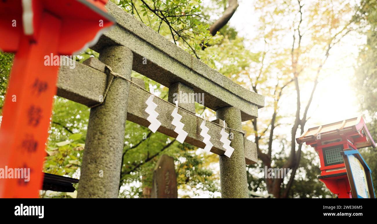 Torii gate, shide and temple in forest in Japan with zen, spiritual ...