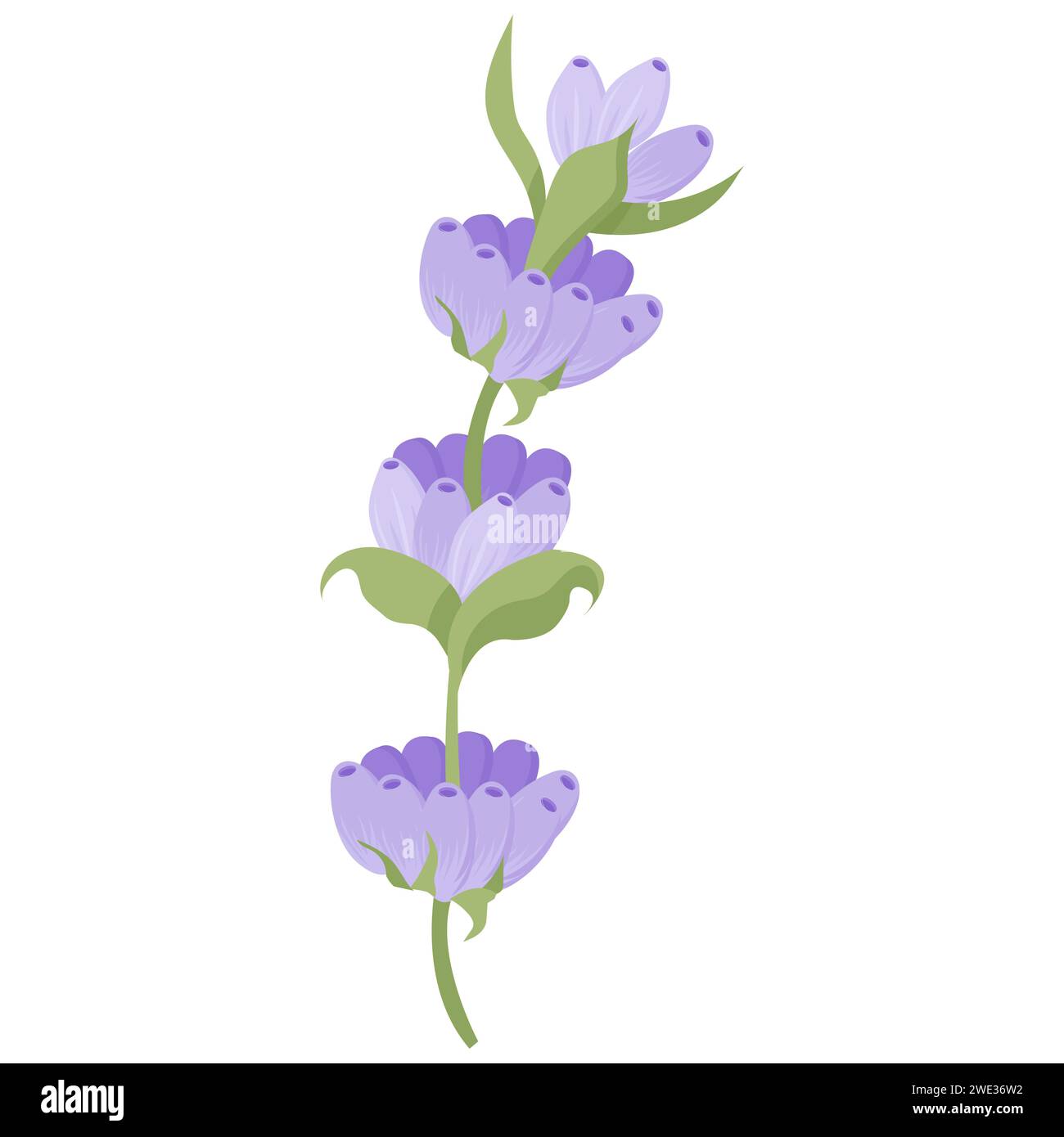 Delicate lavender flower in flat style. Vector illustration isolated on ...