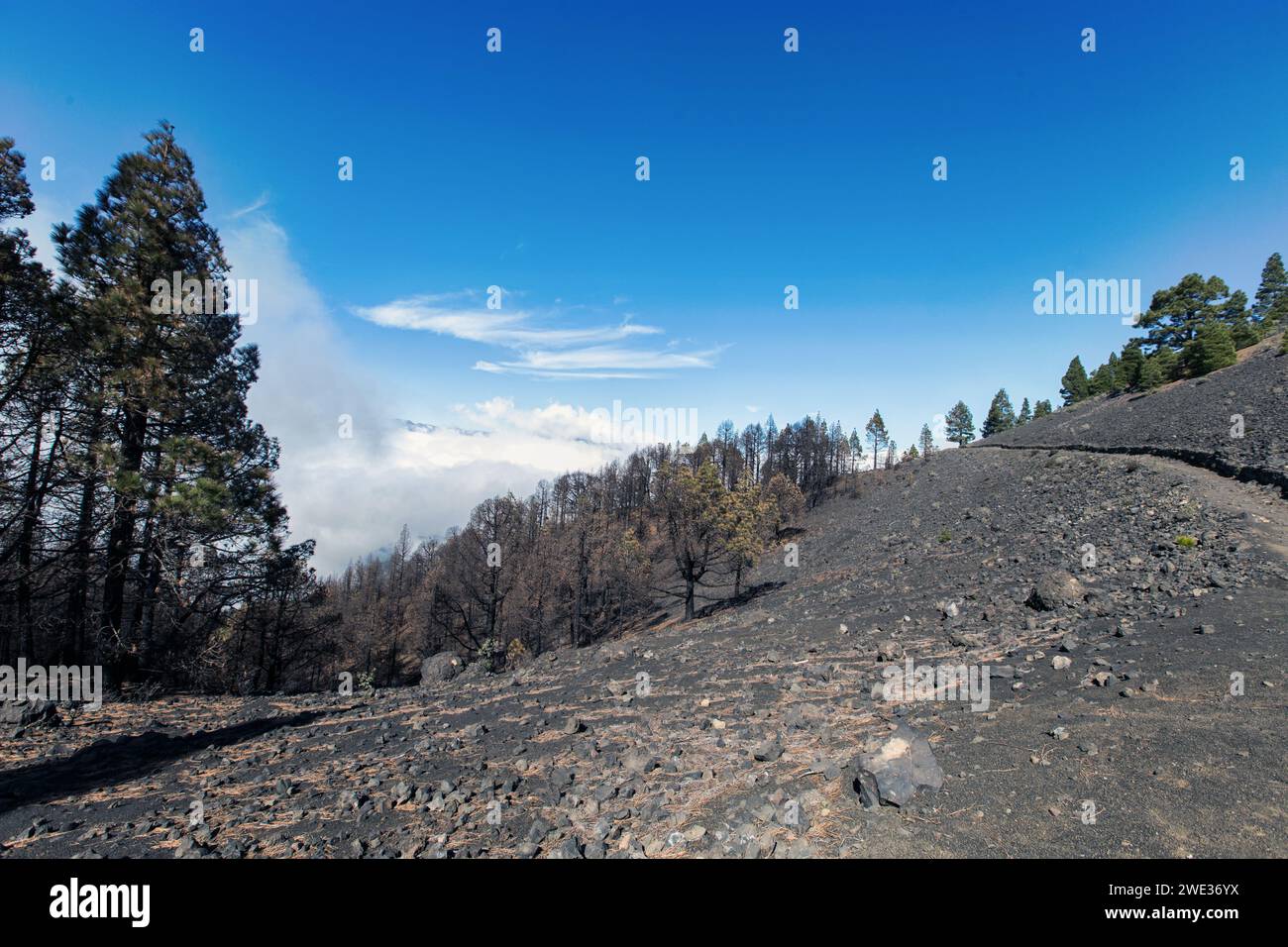 Volcano Trail on the island of La Palma (Canaries, Spain Stock Photo ...