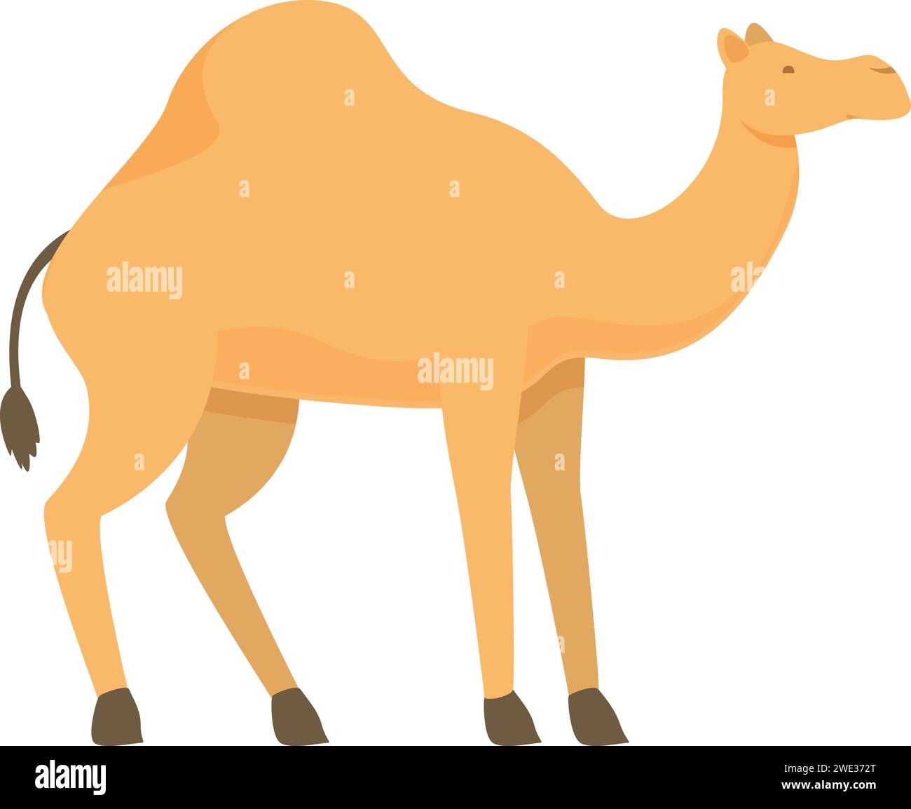 Qatar camel animal icon cartoon vector. Nation tourism. Visitor eastern ...