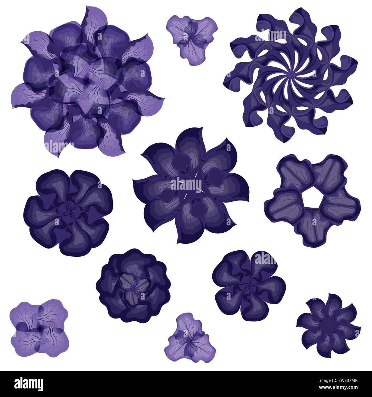 Set of fantasy purple flowers. Vector illustration isolated on white background Stock Vector ...