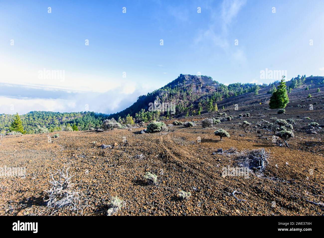 Volcano Trail on the island of La Palma (Canaries, Spain Stock Photo ...