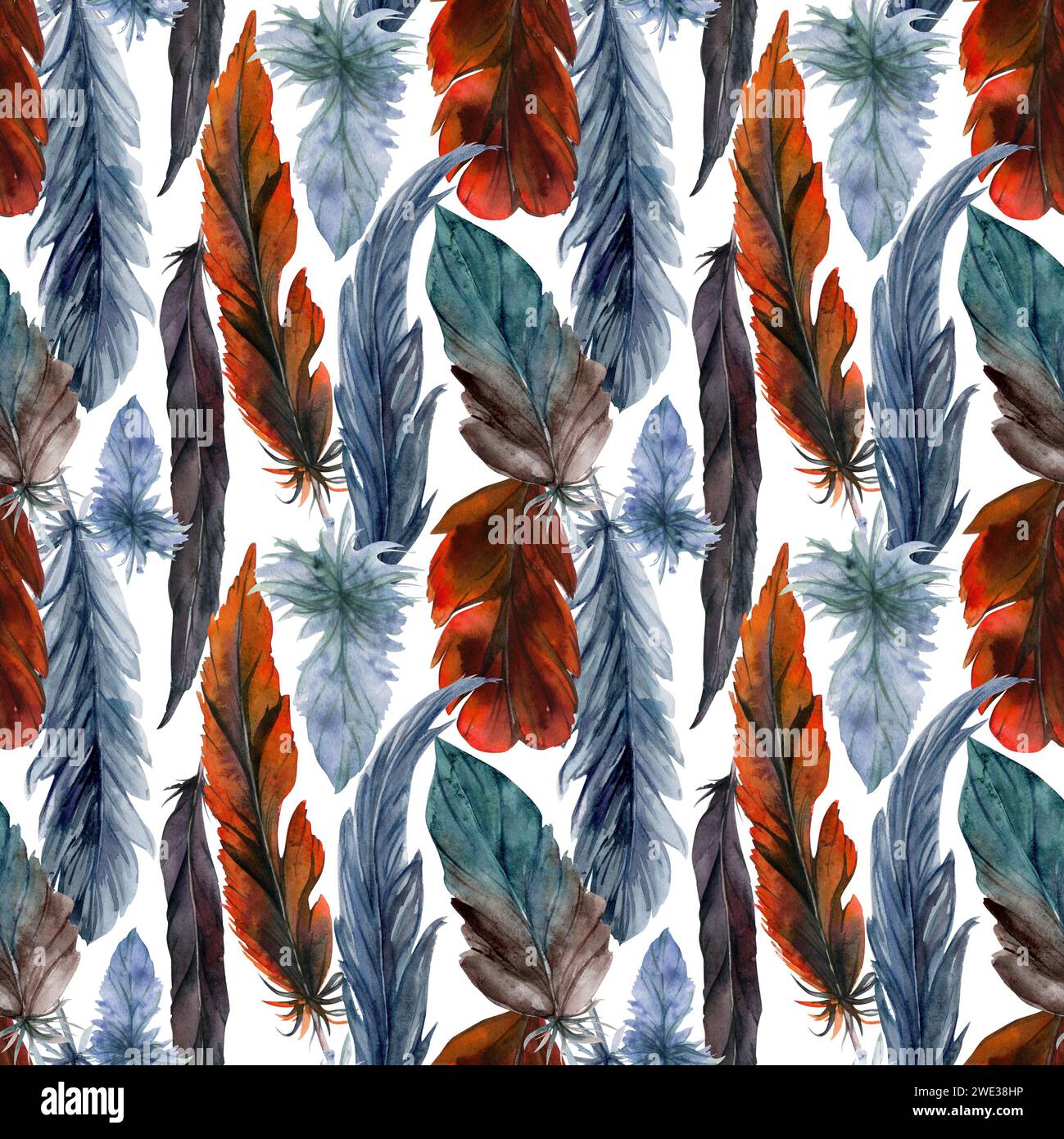 Hand drawn watercolor bird feather plume quill boho tribal ethnic ...