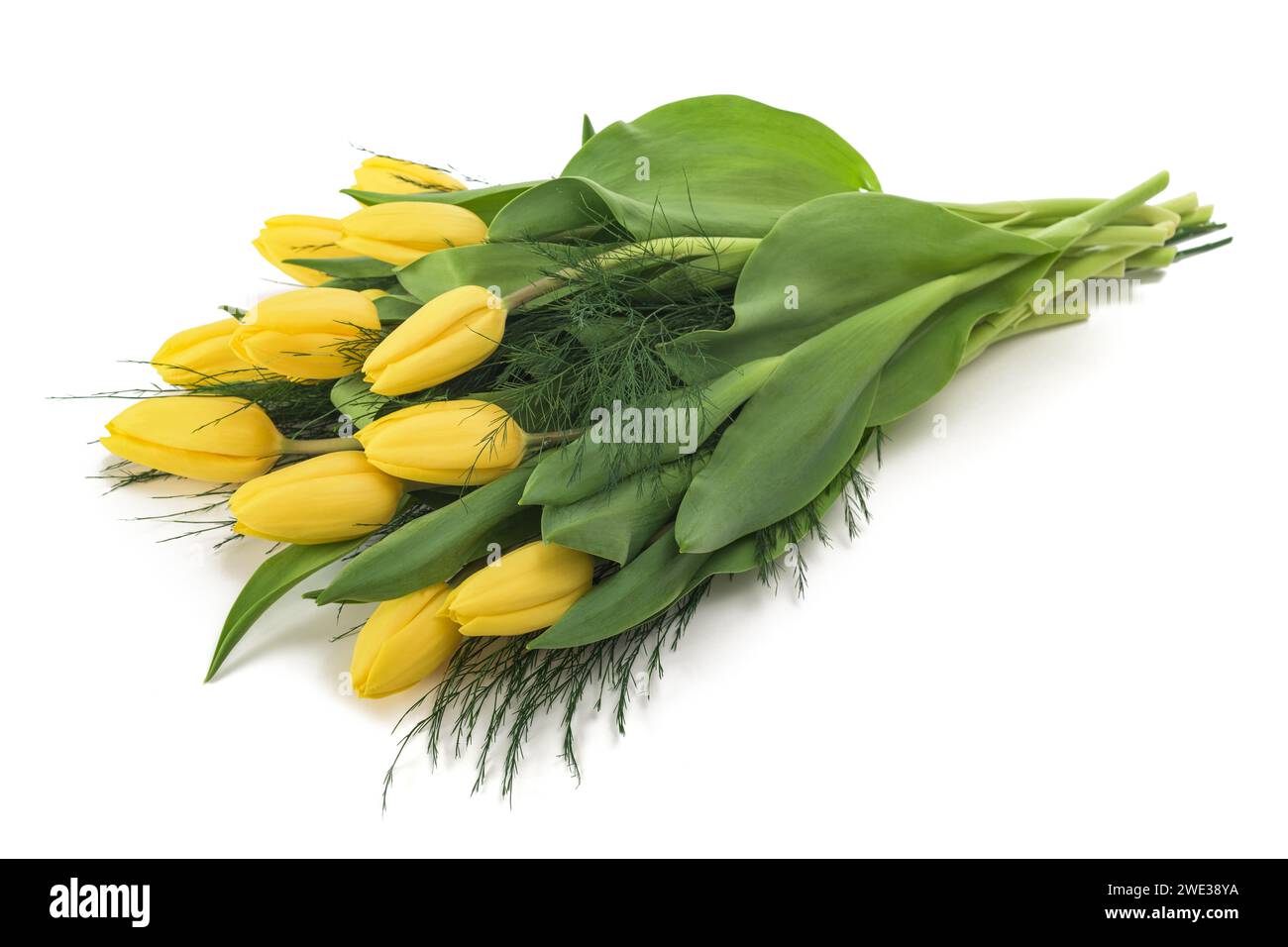 Bunch yellow flowers hi-res stock photography and images - Alamy