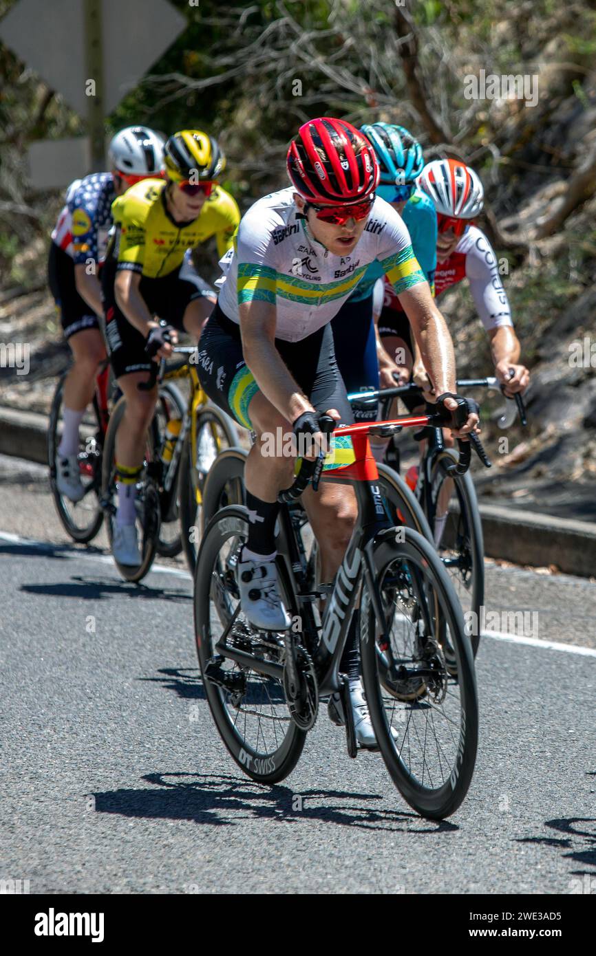 A rider from ARA Australian Cycling Team climbs Mount Lofty Summit Road ...