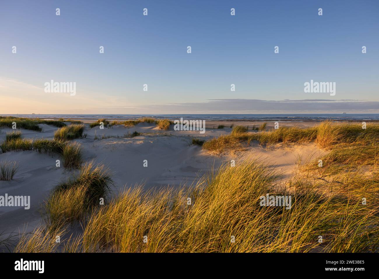 Okt symbol hi-res stock photography and images - Alamy