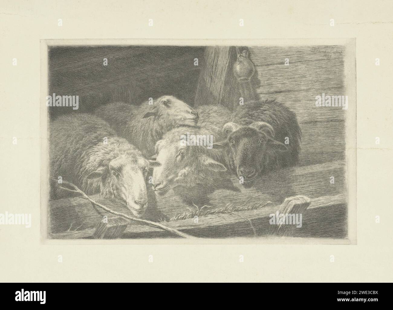 Three sheep and a ram for a feeding bin, Frans Lebret, 1896 print Three ...