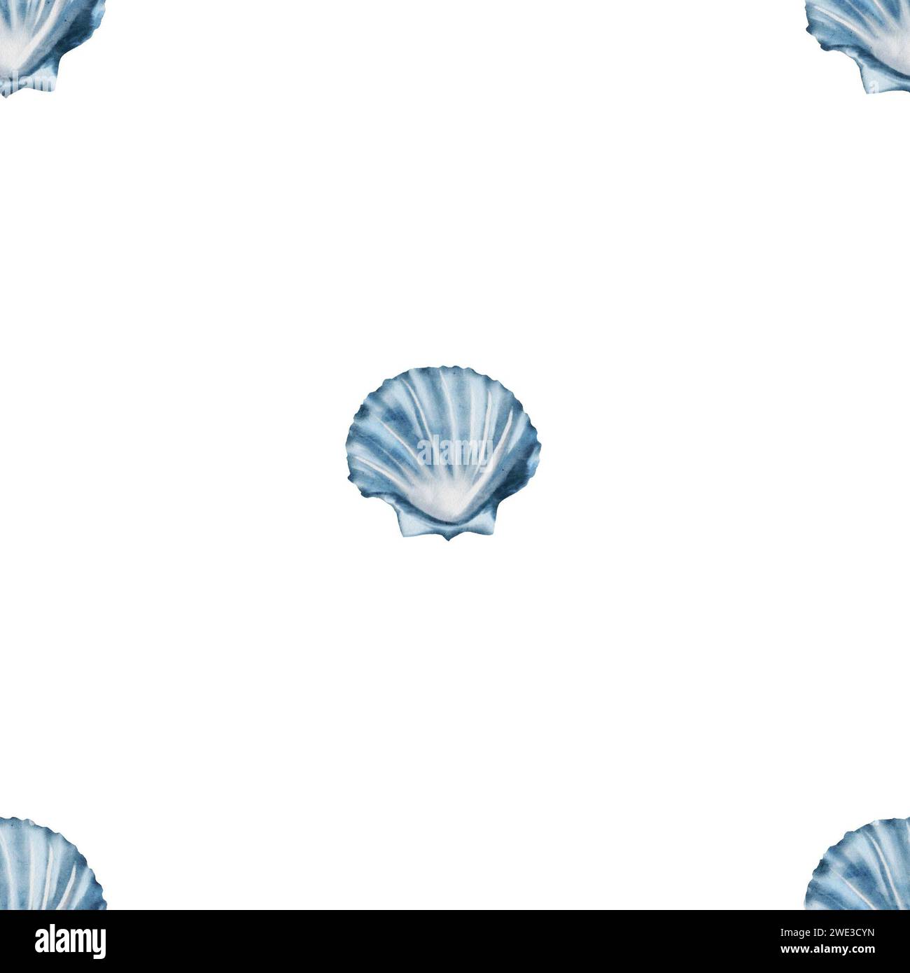 Conch shell drawing hi-res stock photography and images - Alamy