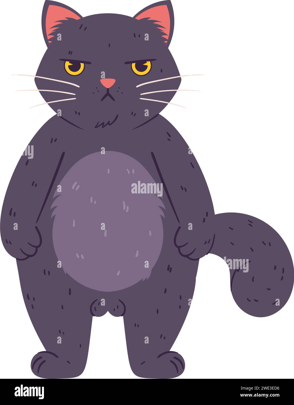 Grumpy cat a fat fluffy feline gray with yellow eyes. A frustrated ...