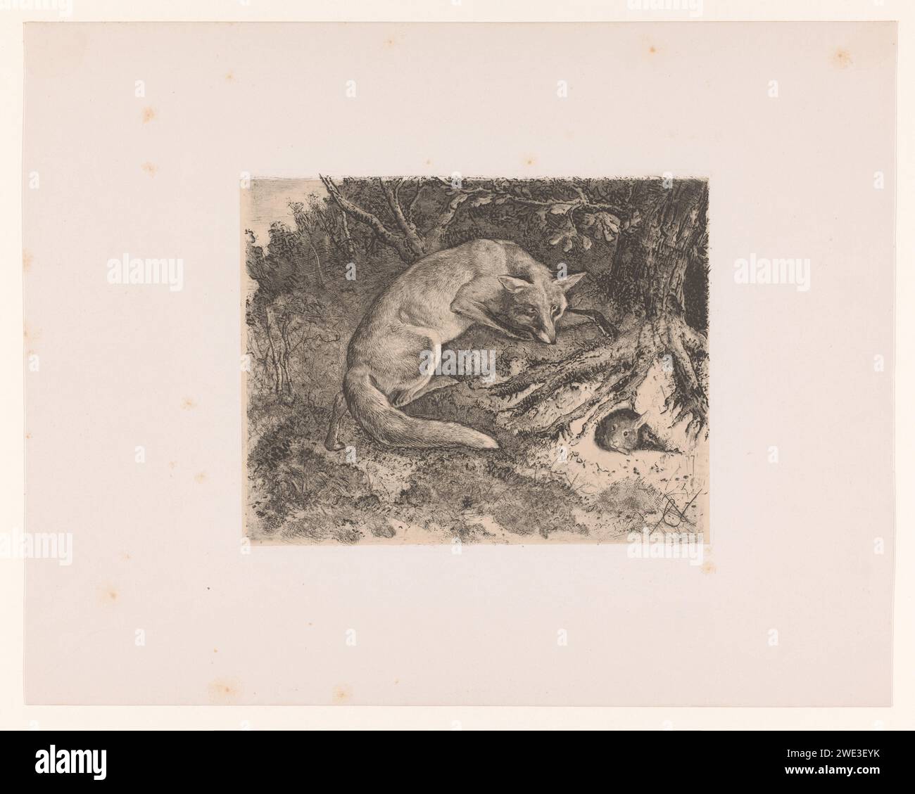 Fox hunting a rabbit, Charles Verlat, 1834 - 1890 print paper. ETCHING ...