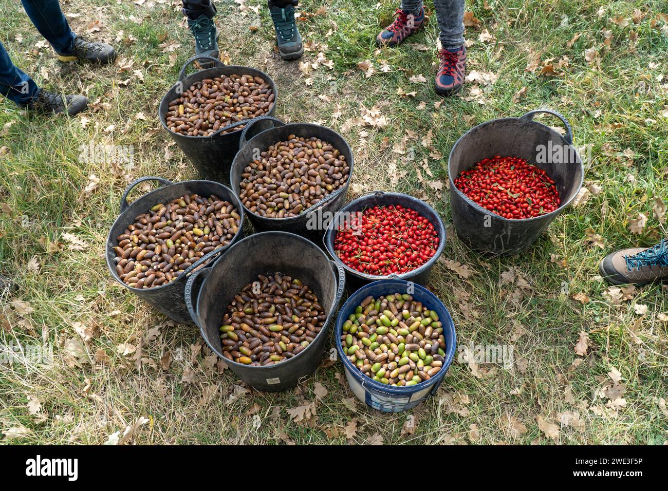 Full buckets hi-res stock photography and images - Alamy