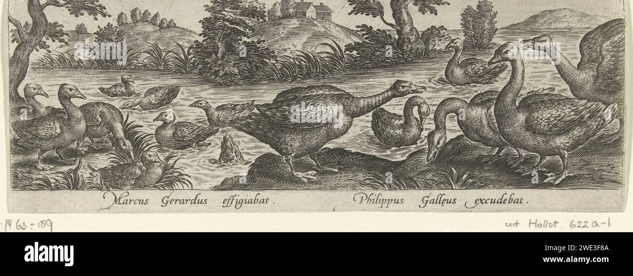 Total butterflies hi-res stock photography and images - Alamy