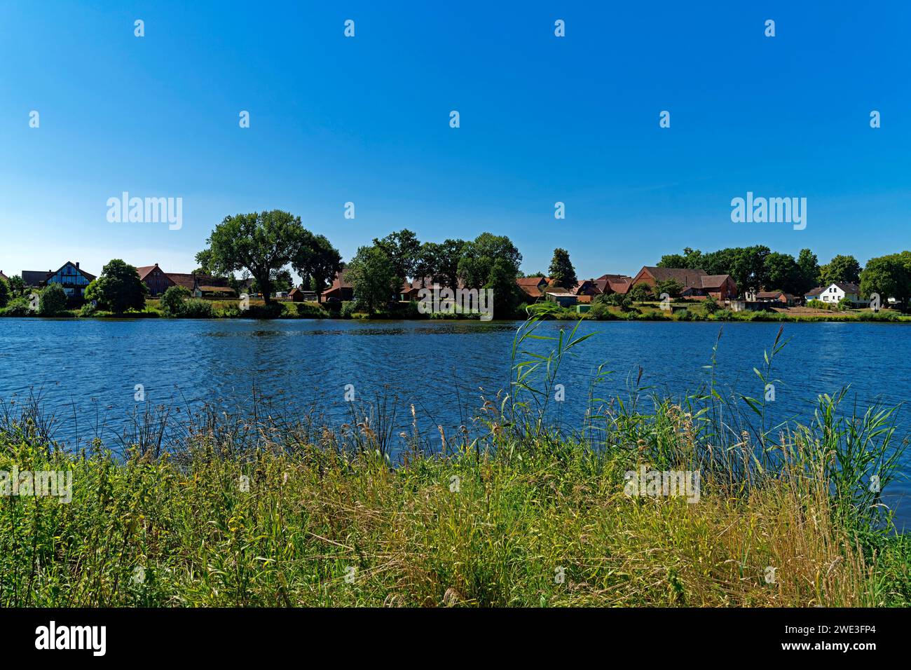 Bäume, Deutschland, Europa, Fluss, Flüsse, Gebäu Gräser, Heimsen ...