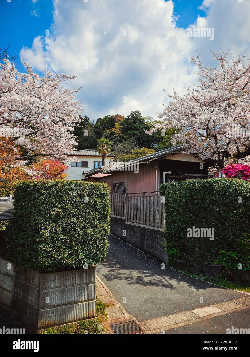 Daily life during spring in japan houses Stock Photo - Alamy