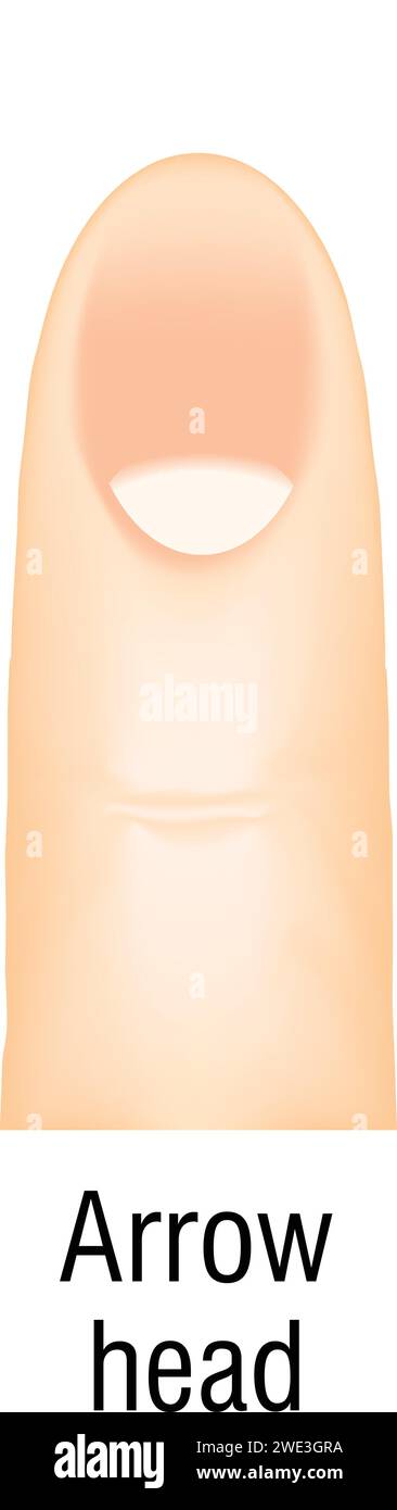 Arrow head nail icon cartoon vector. Form studio. Hand form broken ...