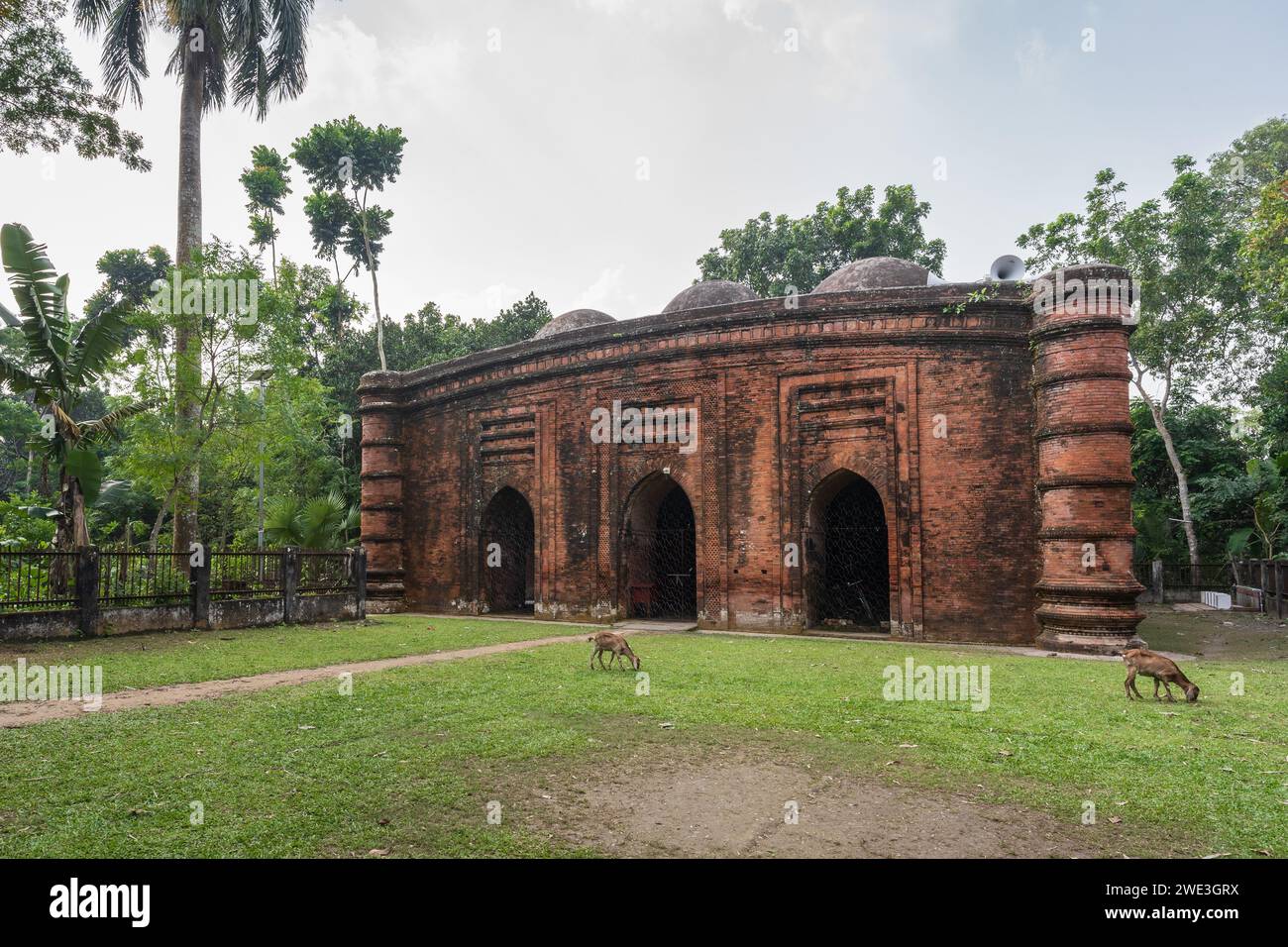 Landscape view of ancient nine dome mosque in Bagerhat UNESCO World ...