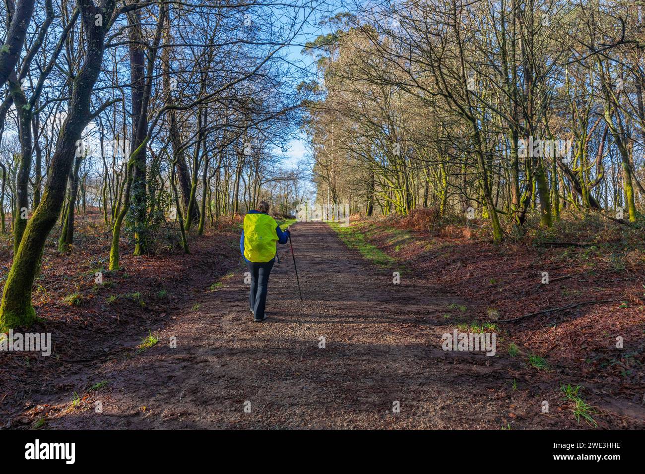 Galicia, Spain, 1 January, 2024: Pilgrim walk along the Camino De ...