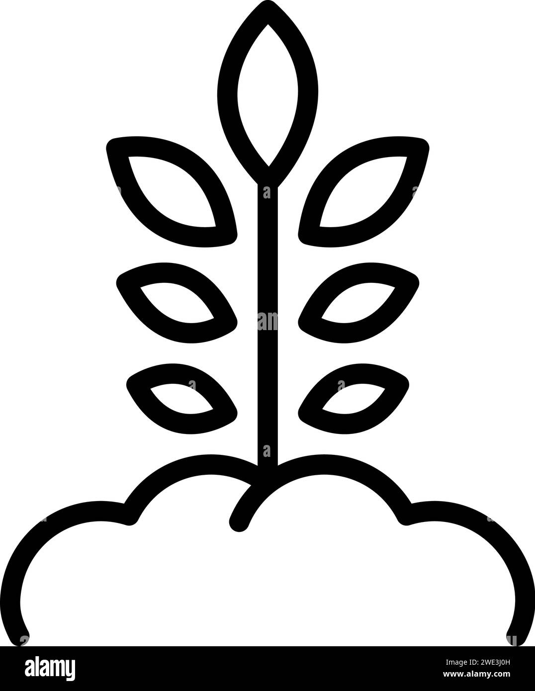 Icon for origination,grow Stock Vector Image & Art - Alamy