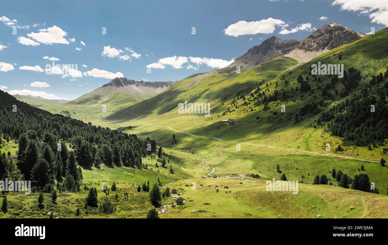 God Tamangur im Val S-charl in der Gem. S-charl am 07.07.2023 Stock ...